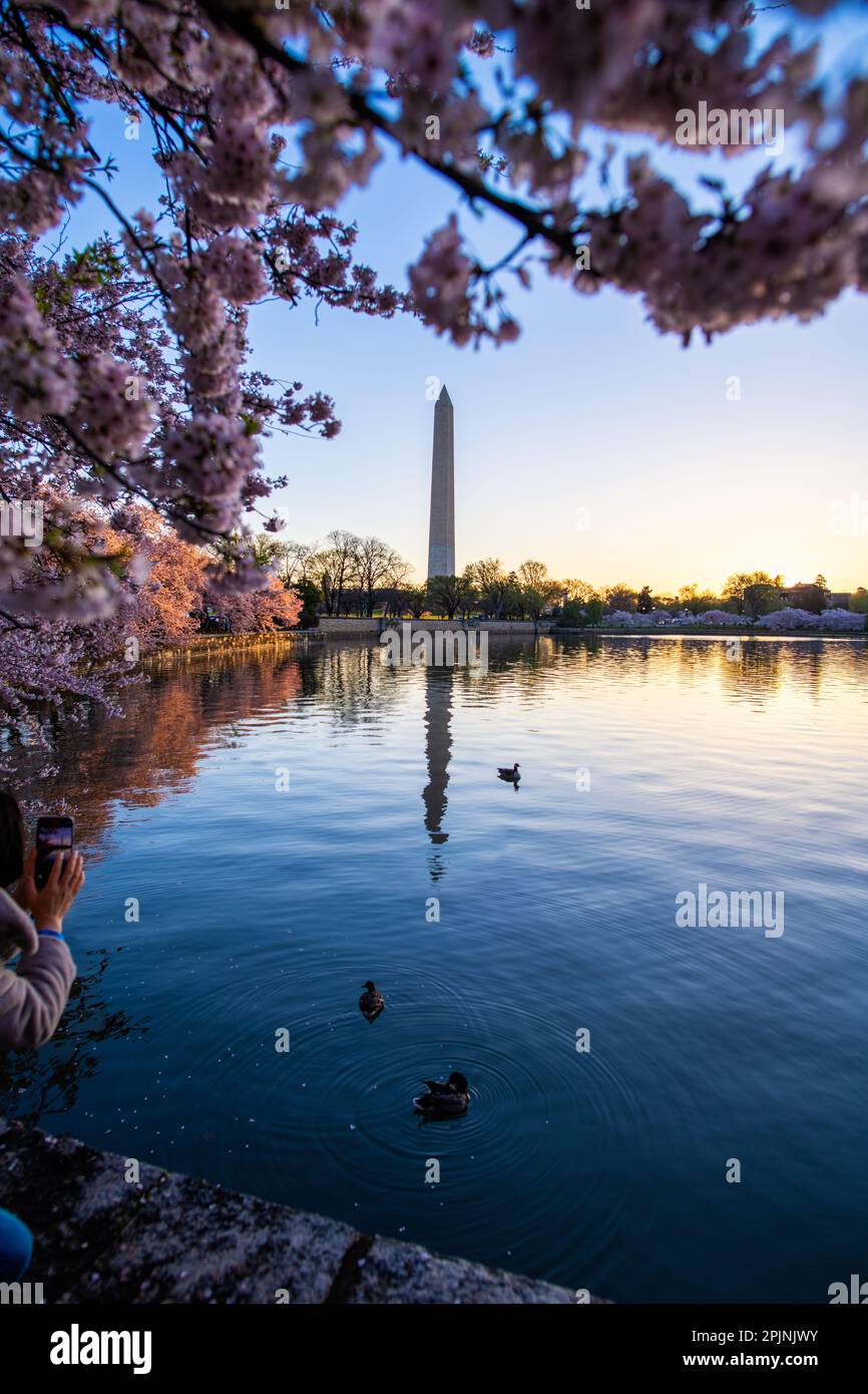 Washington dc duck boat hi-res stock photography and images - Alamy