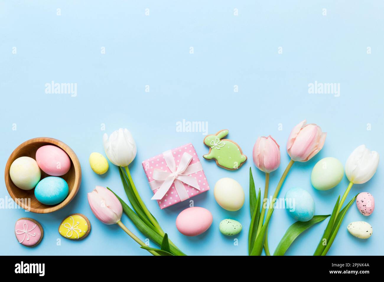 Easter frame with eggs, gift box and tulip on a colored background. The ...