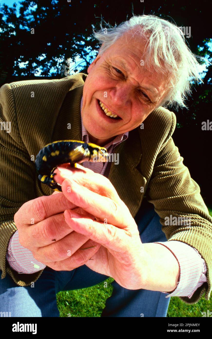 David Attenborough with a salamander in the garden of his home in Kew ...