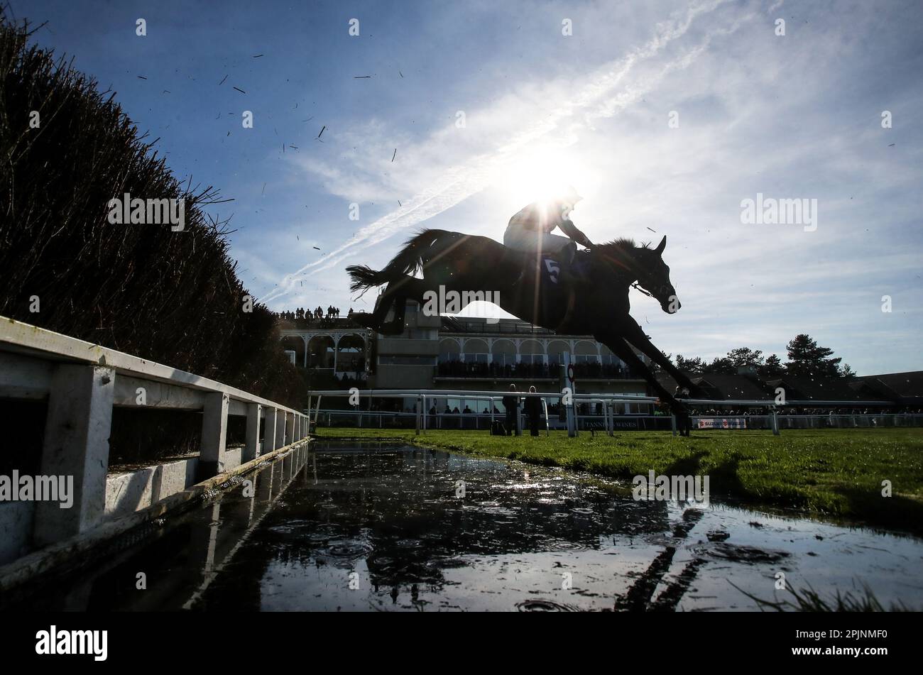 A Horse clears the water jump during the Eddie Mapp Memorial Open ...