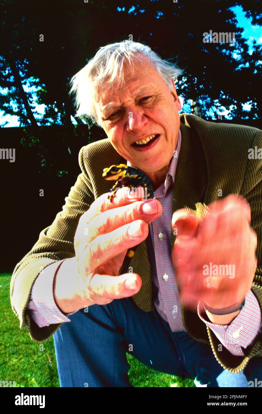 David Attenborough with a salamander in the garden of his home in Kew ...