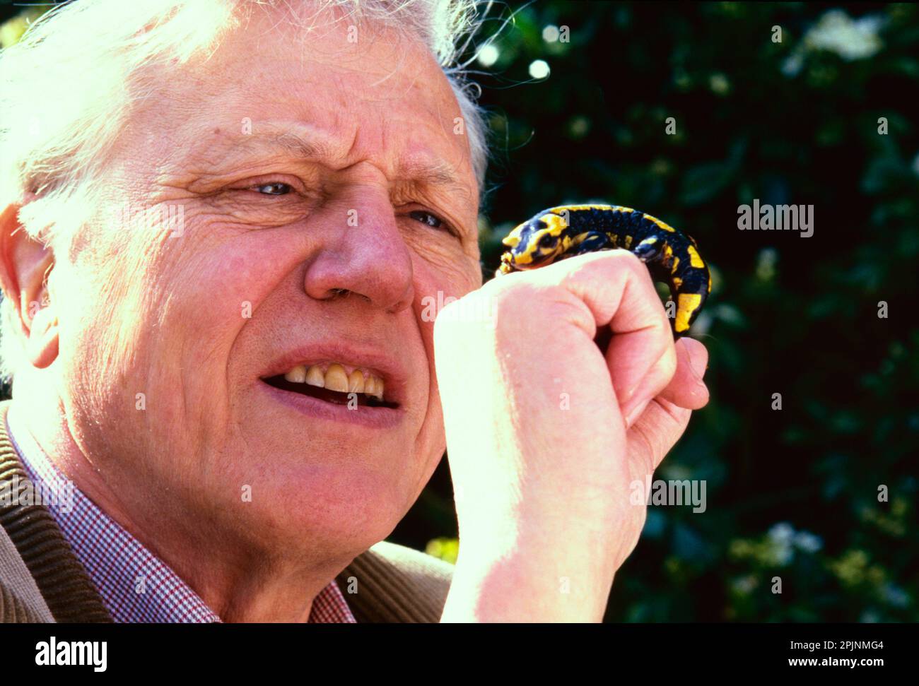 David Attenborough with a salamander in the garden of his home in Kew ...