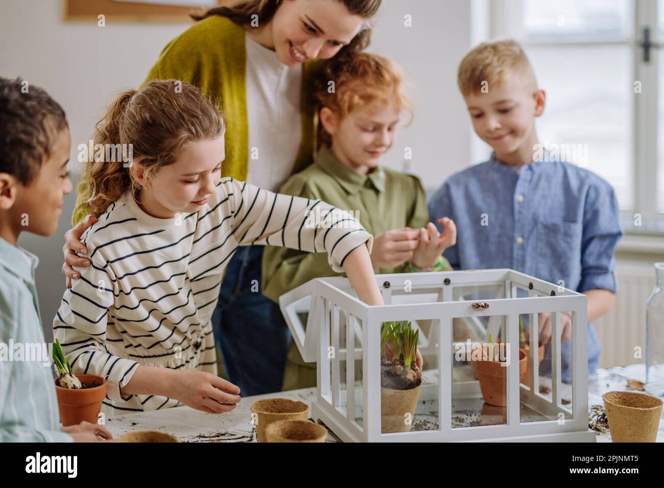 Young teacher learning pupils how to take care about plants Stock Photo ...