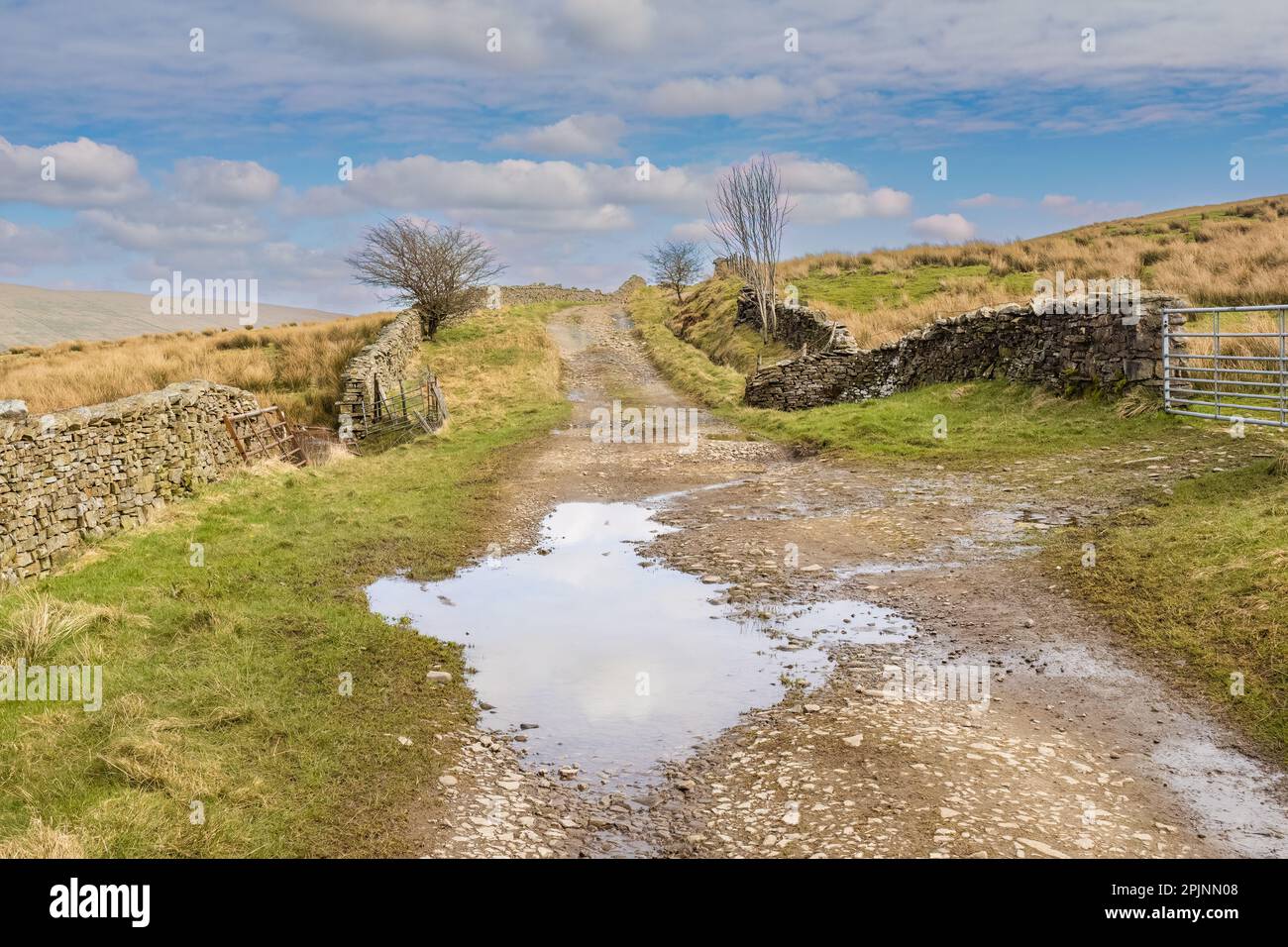 Barbondale is one of my favourite valleys in the Dales. Barbon Beck ...