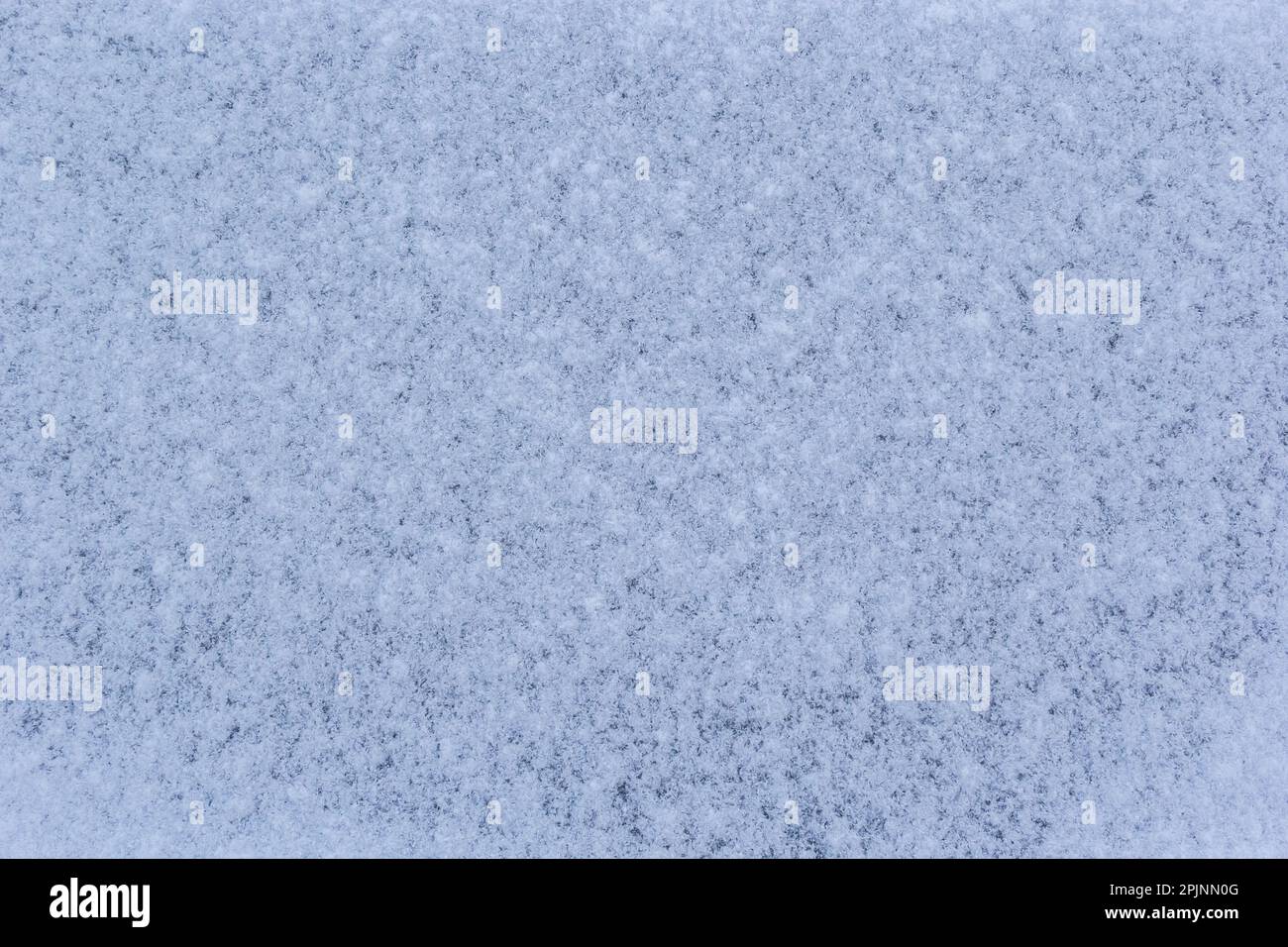 Beautiful winter background with snowy ground. Natural snow texture ...