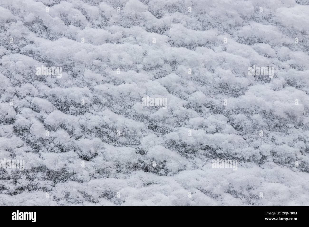Beautiful winter background with snowy ground. Natural snow texture ...