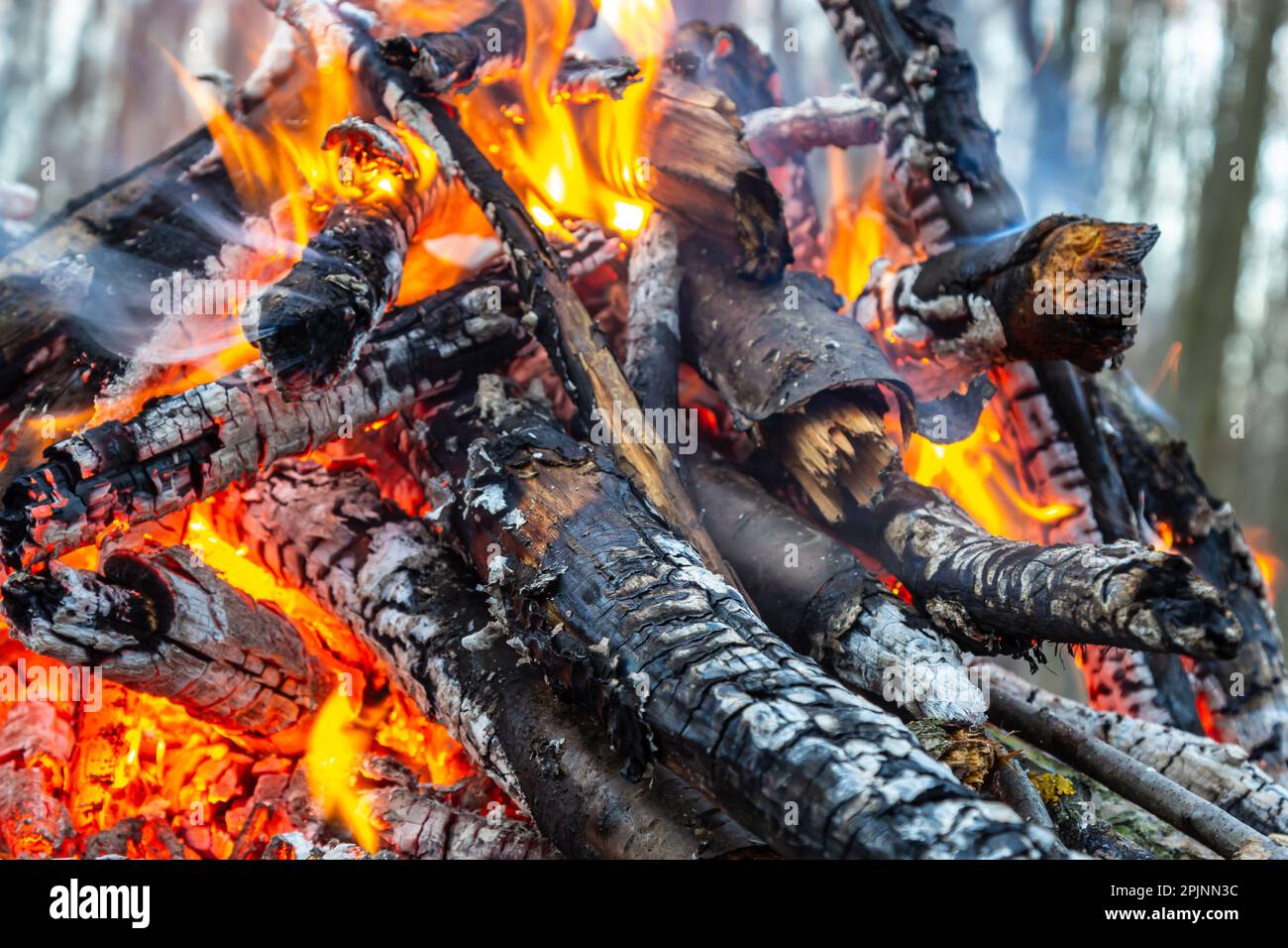 Campfire in the spring forest. Rest on the weekend. Danger of forest ...