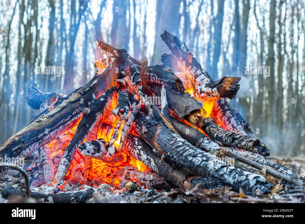 Campfire in the spring forest. Rest on the weekend. Danger of forest ...