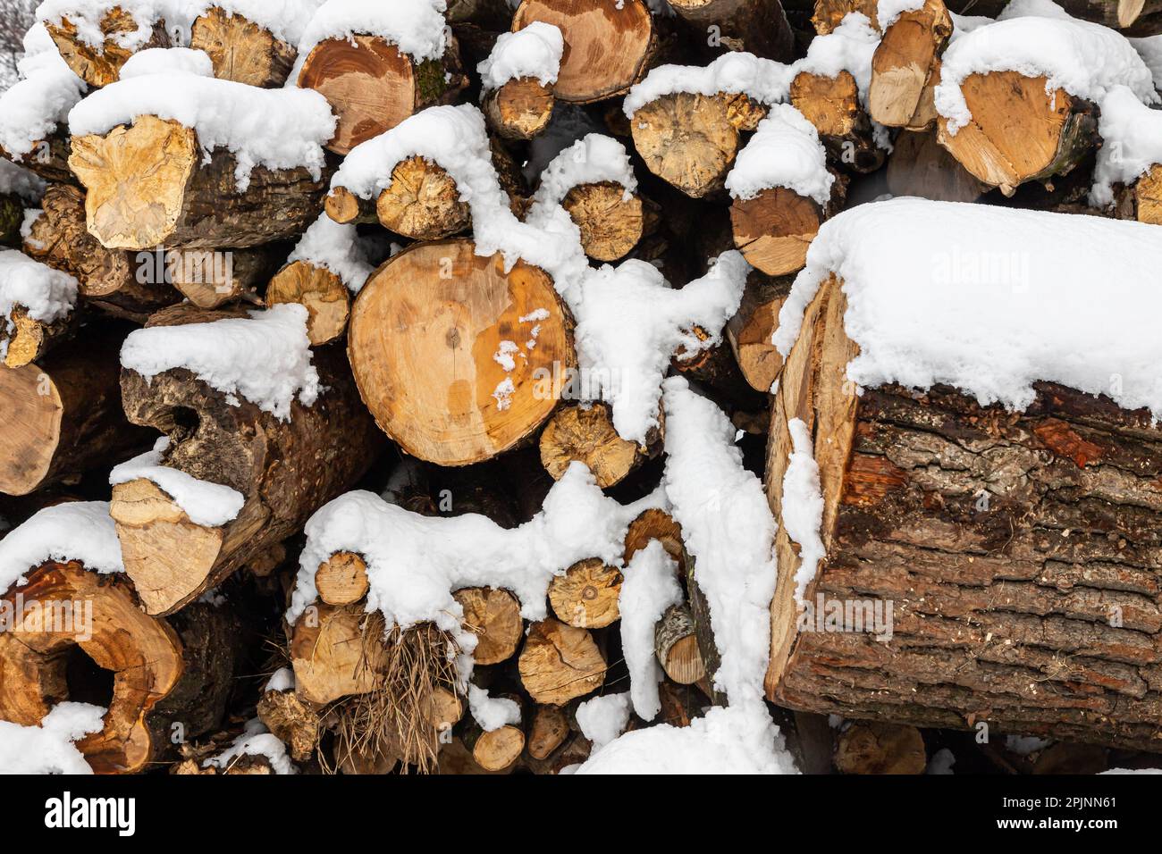 Snow covered firewood. Stack of wood cut. Snow on the timber stack ...