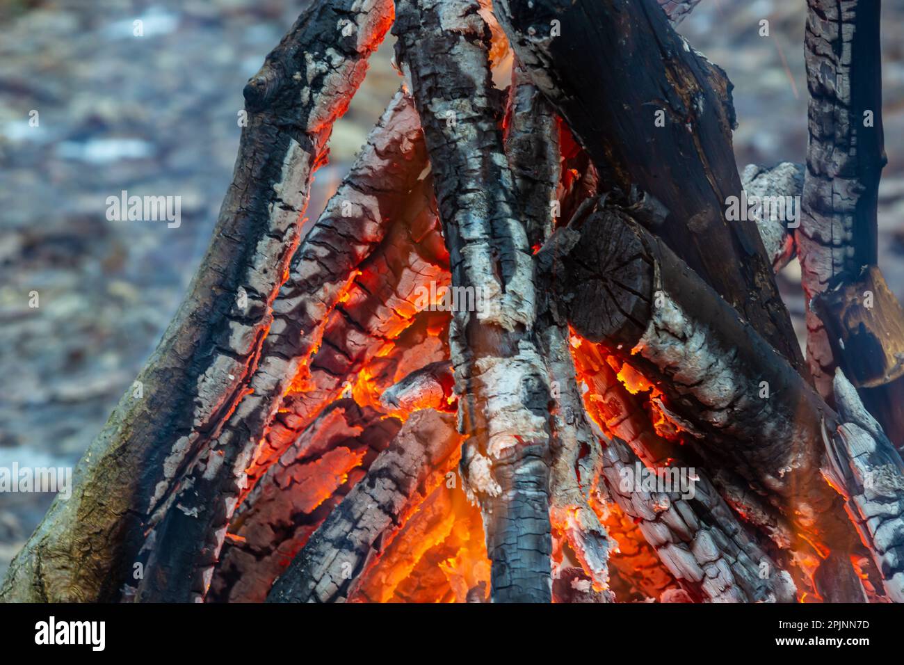 Campfire in wild branches hi-res stock photography and images - Alamy