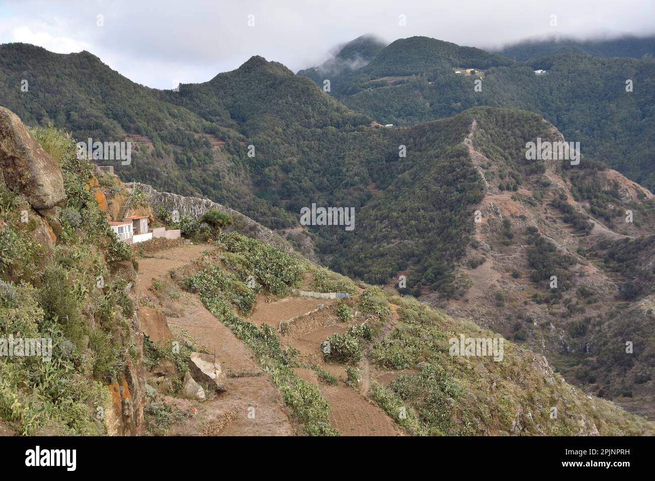 Cave houses in the Anaga mountains, Chinamada settlement in the ...