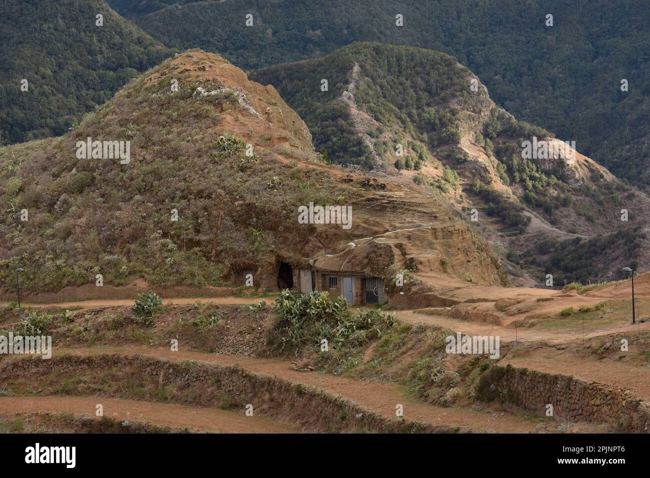 Cave houses and terraced fields in the Anaga mountains, Chinamada ...