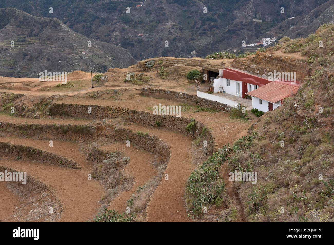 Cave houses and terraced fields in the Anaga mountains, Chinamada ...
