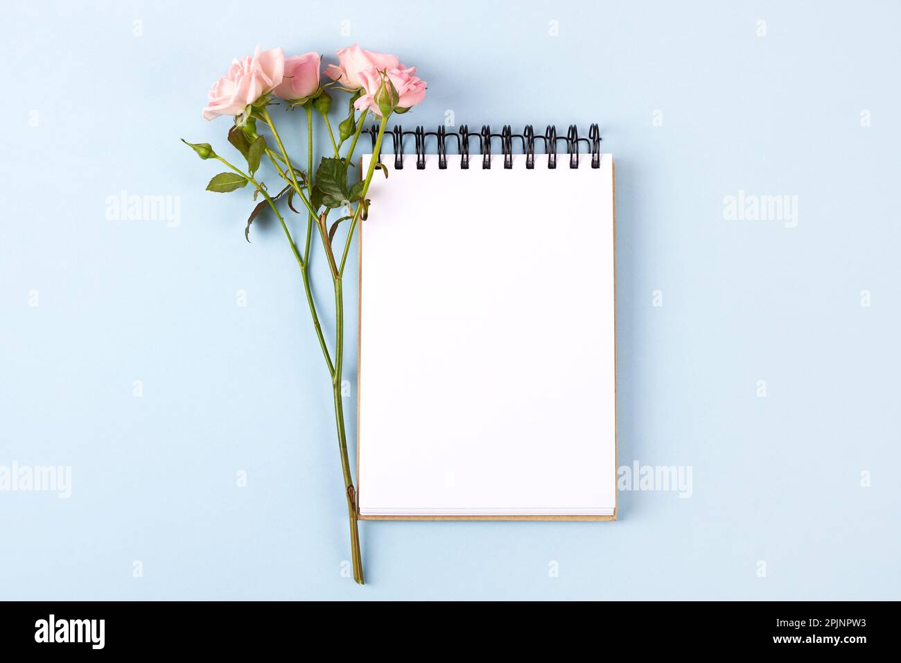 Notebook with clean page with pink rose flowers on blue background ...