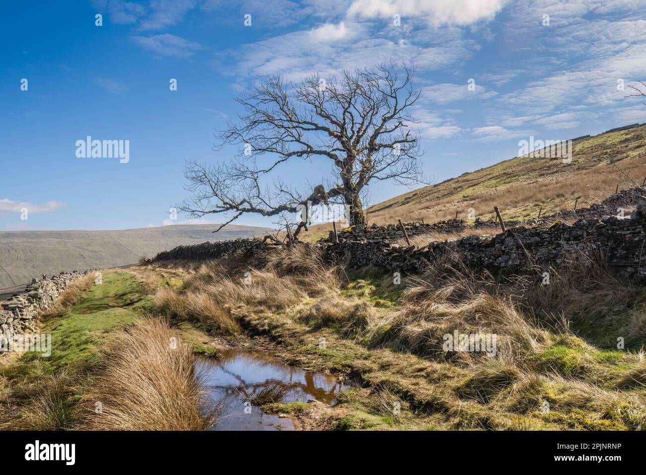 Barbondale is one of my favourite valleys in the Dales. Barbon Beck ...