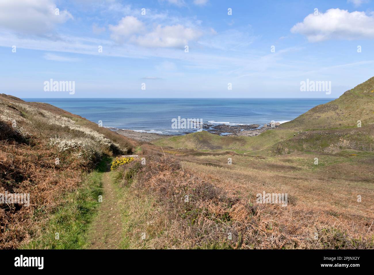 Devon-Cornwall border Marsland Mouth on the South West Coast Path Stock ...