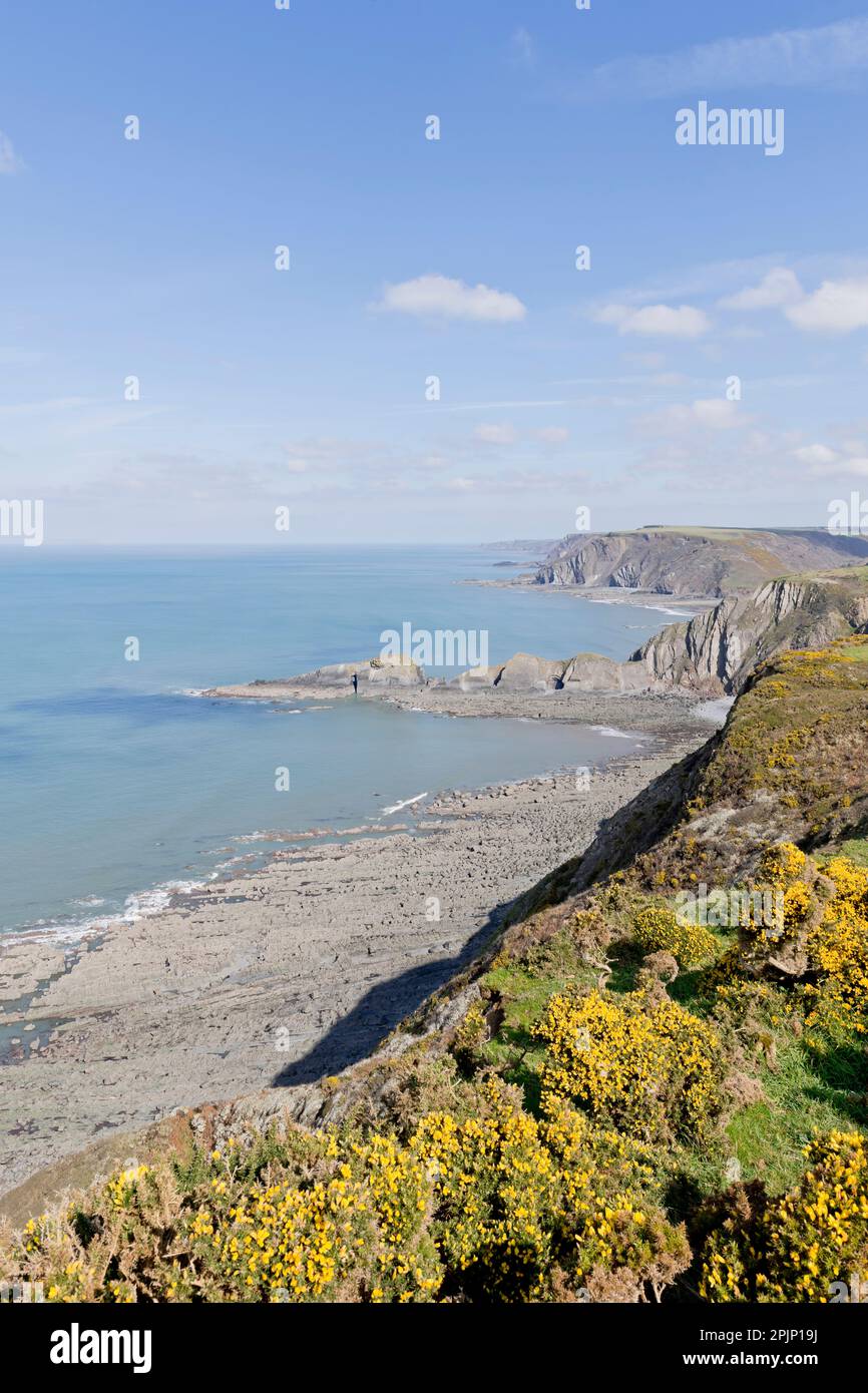 Devon-Cornwall border Marsland Mouth on the South West Coast Path Stock ...