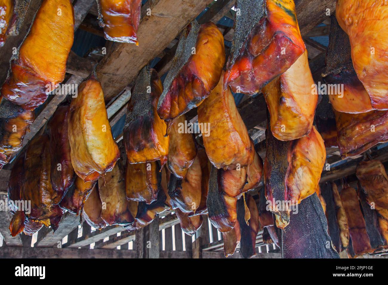 Hákarl, national dish of fermented Greenland shark (Somniosus ...