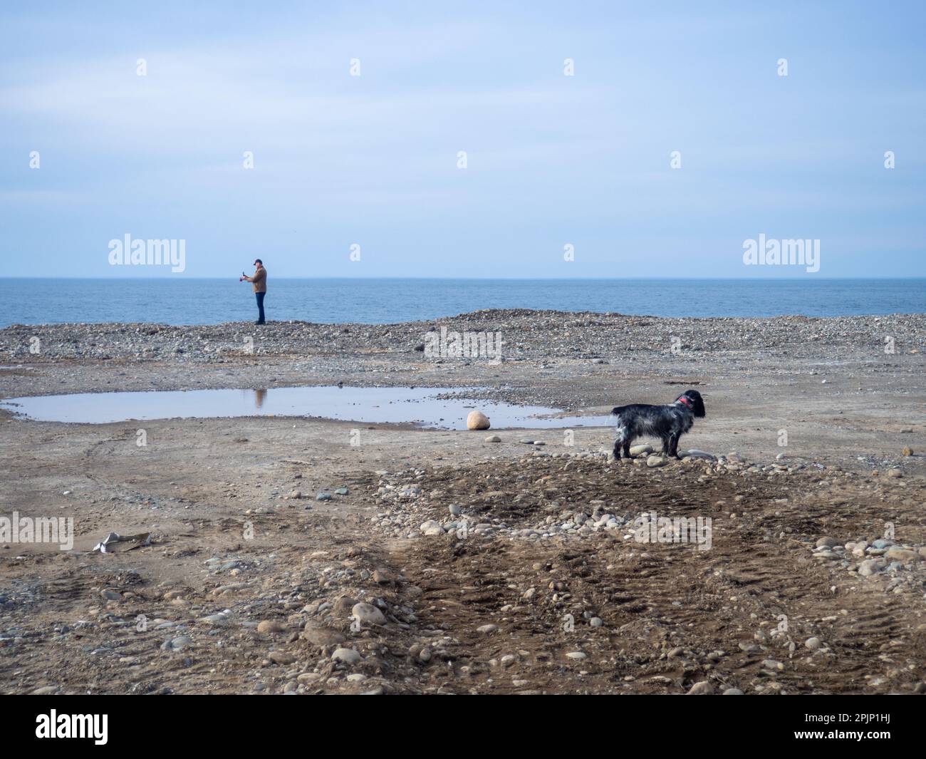 Repair of the embankment of the seaside resort. Preparing for the ...