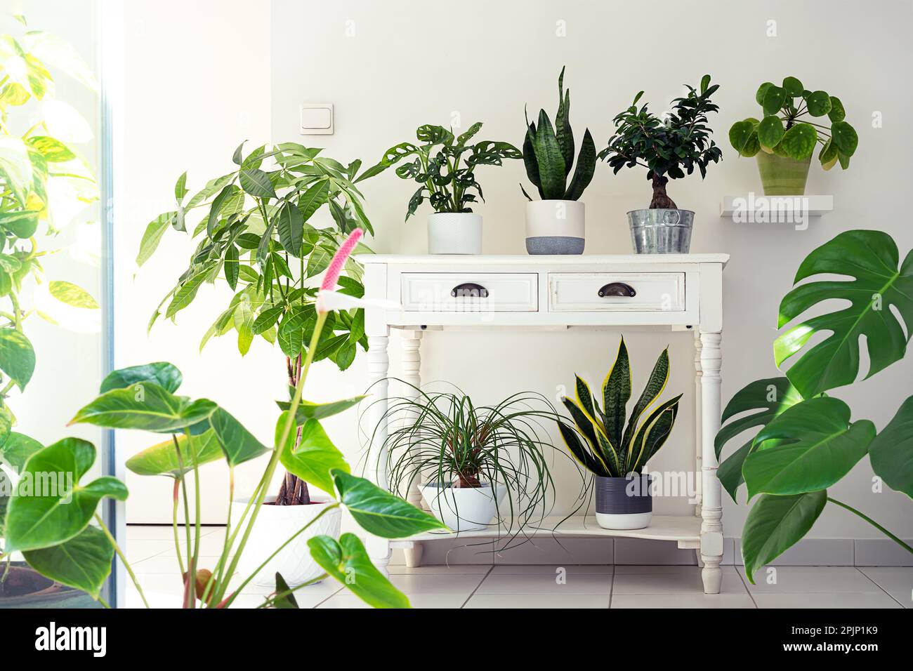 Indoor greenery design hi-res stock photography and images - Alamy