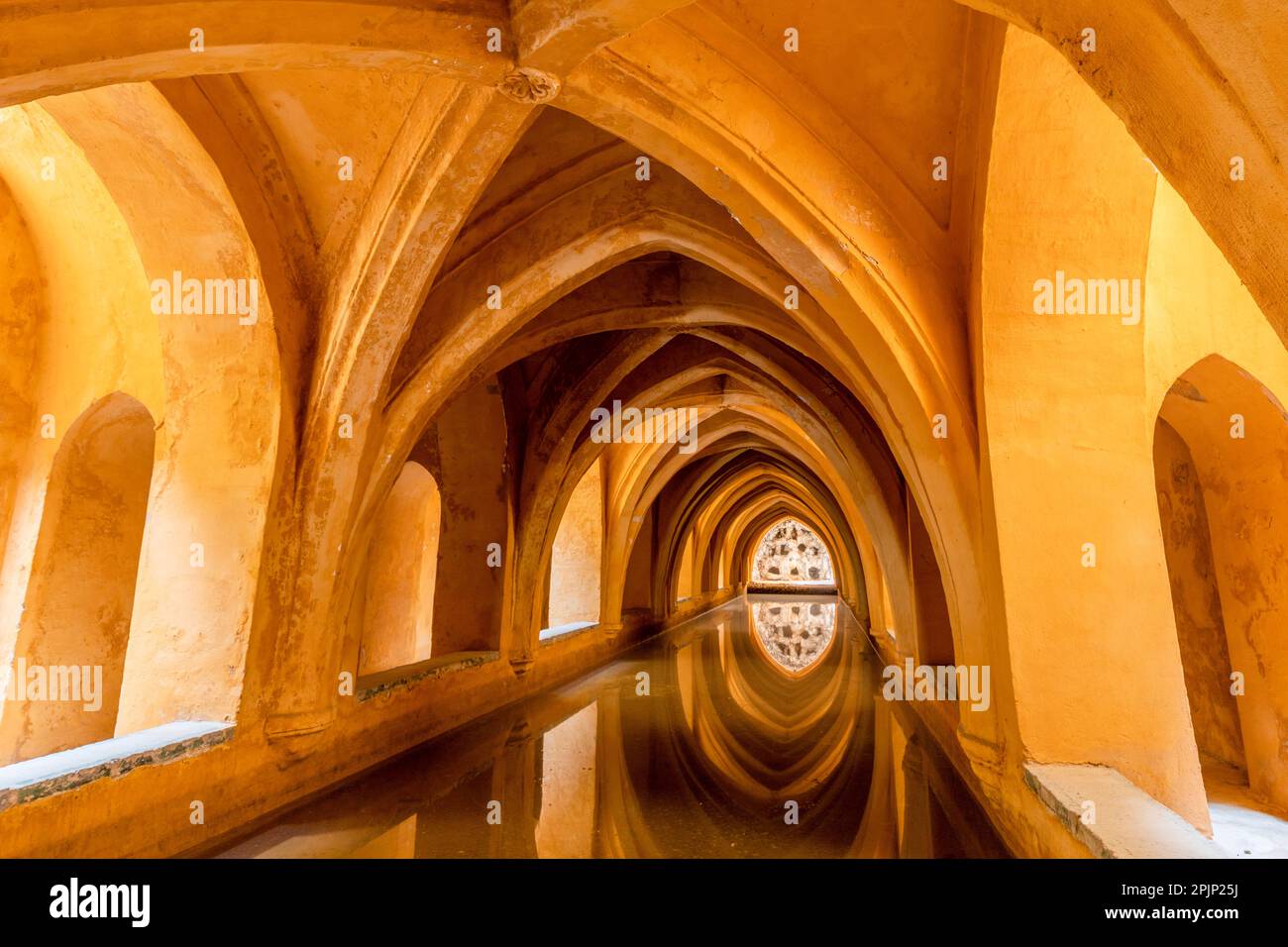 Baths of Dona Maria de Padilla in the Alcazar of Seville, Seville ...