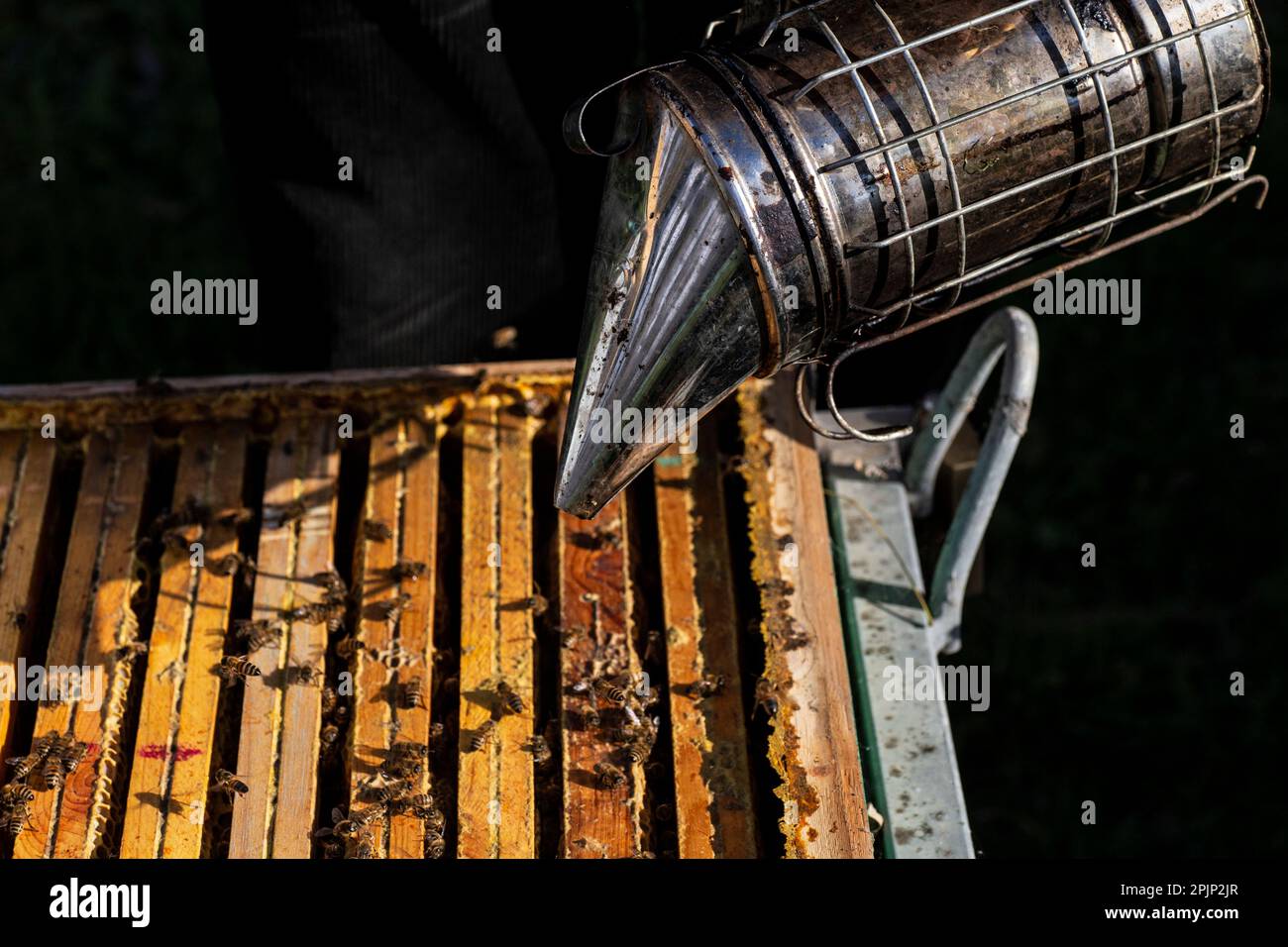 Raised bee hive hi-res stock photography and images - Alamy