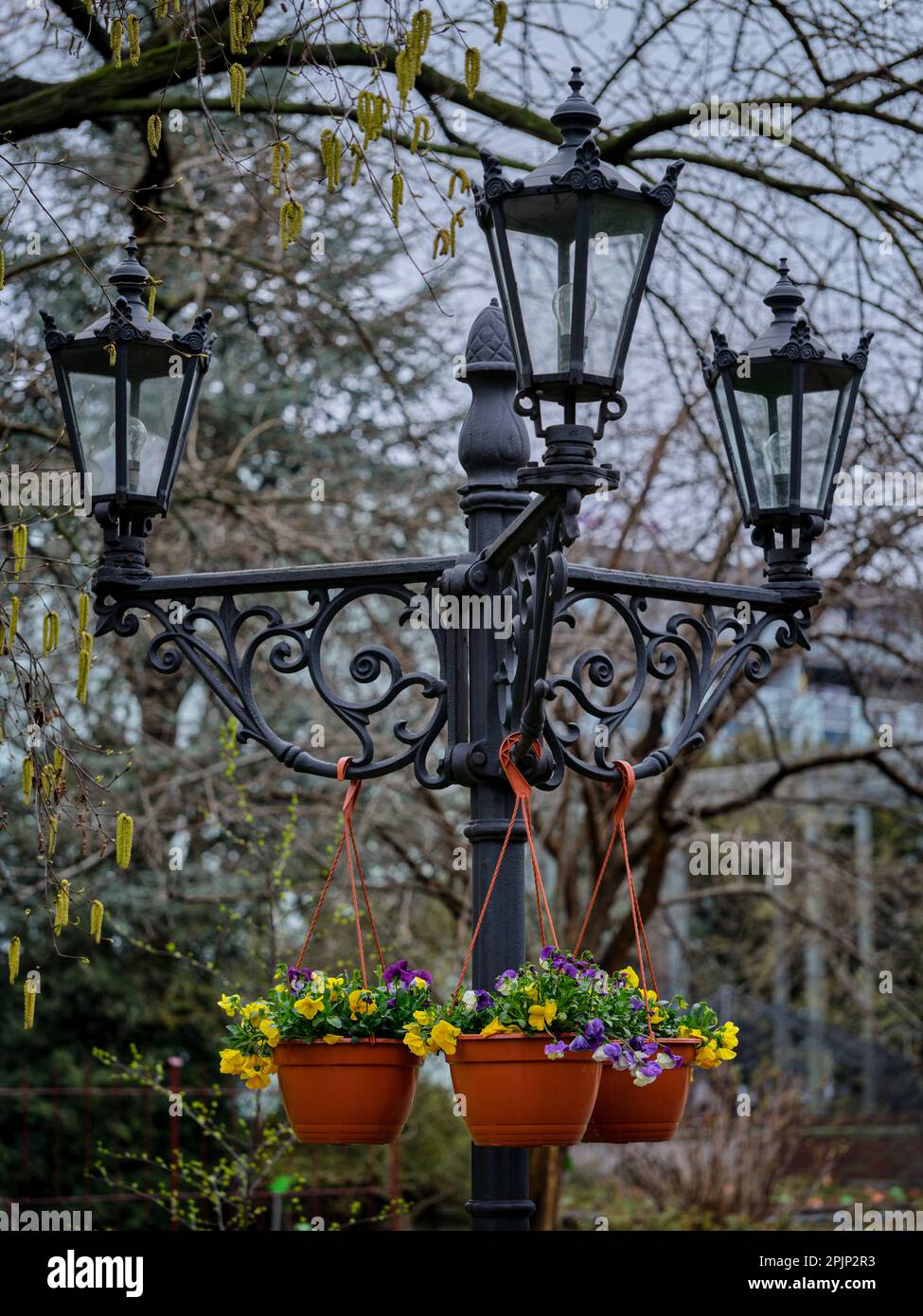 Botanical Gardens in the early spring Wroclaw lower Silesia Poland ...
