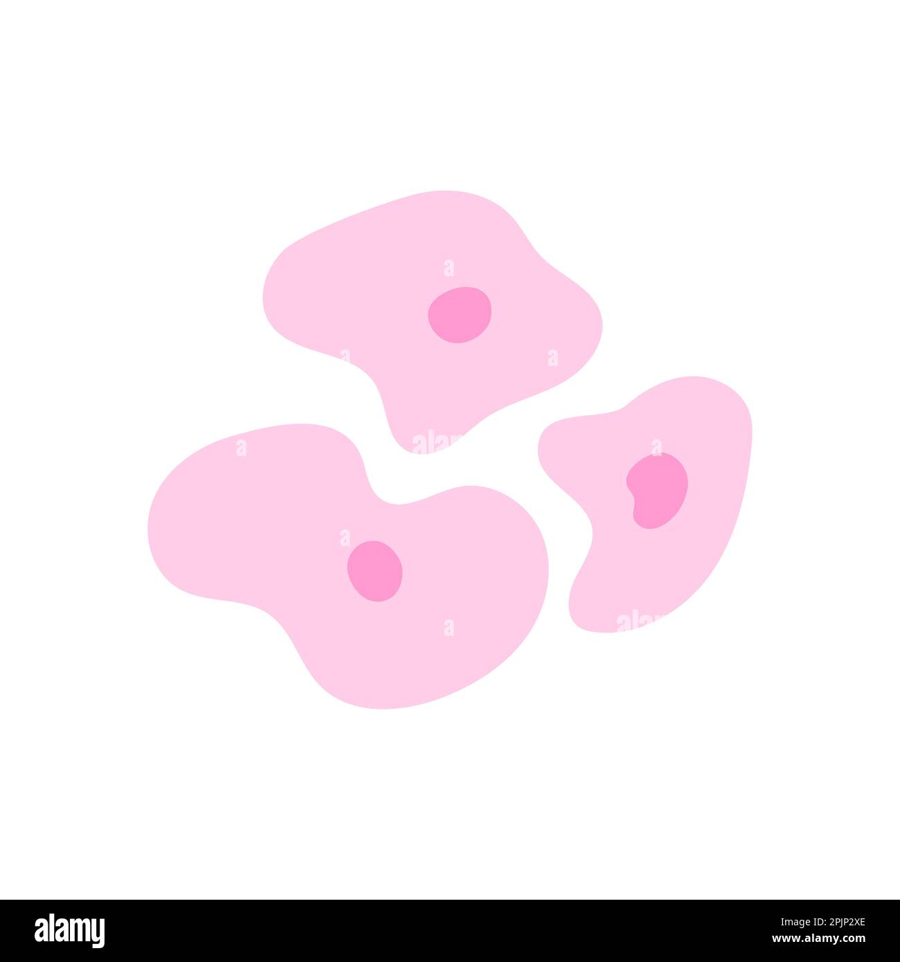 Human stem cell icon for medical design Stock Vector Image & Art - Alamy