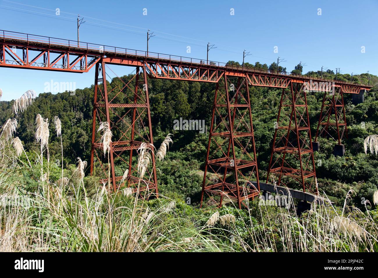 Makatote viaduct on the northern island of New Zealand Stock Photo - Alamy
