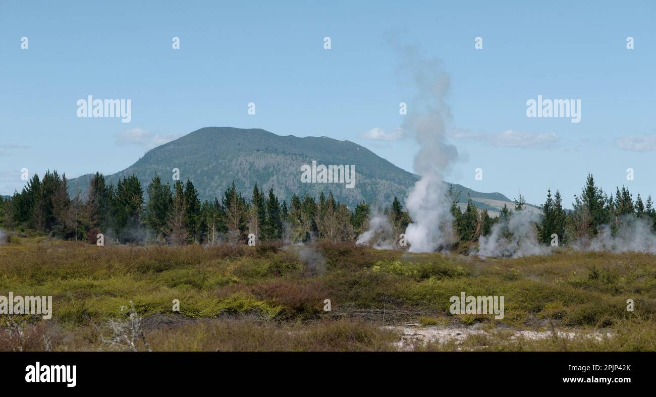 Fields with steam from volcanic activity near Taupo in New Zealand ...