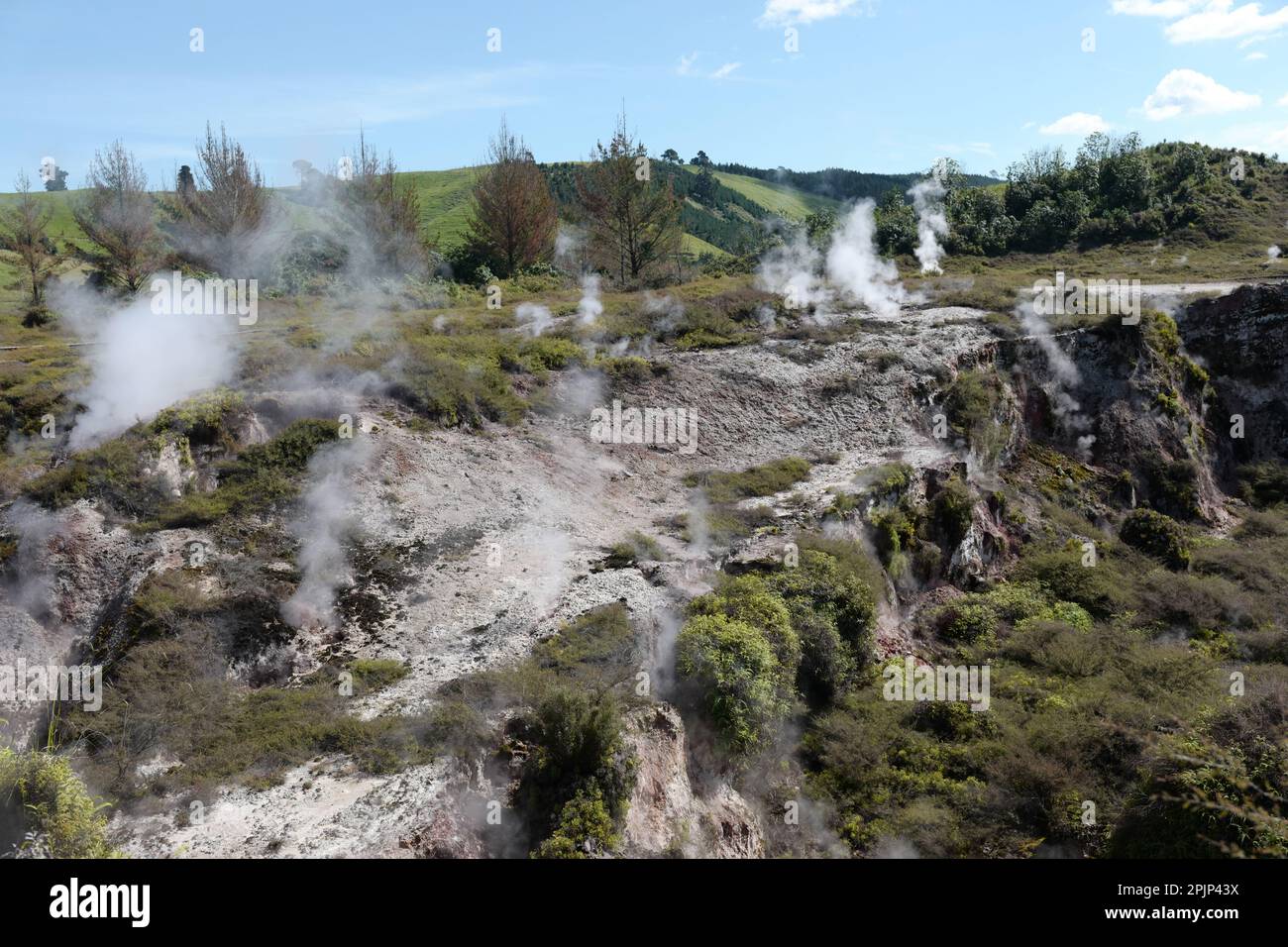 Fields with steam from volcanic activity near Taupo in New Zealand ...