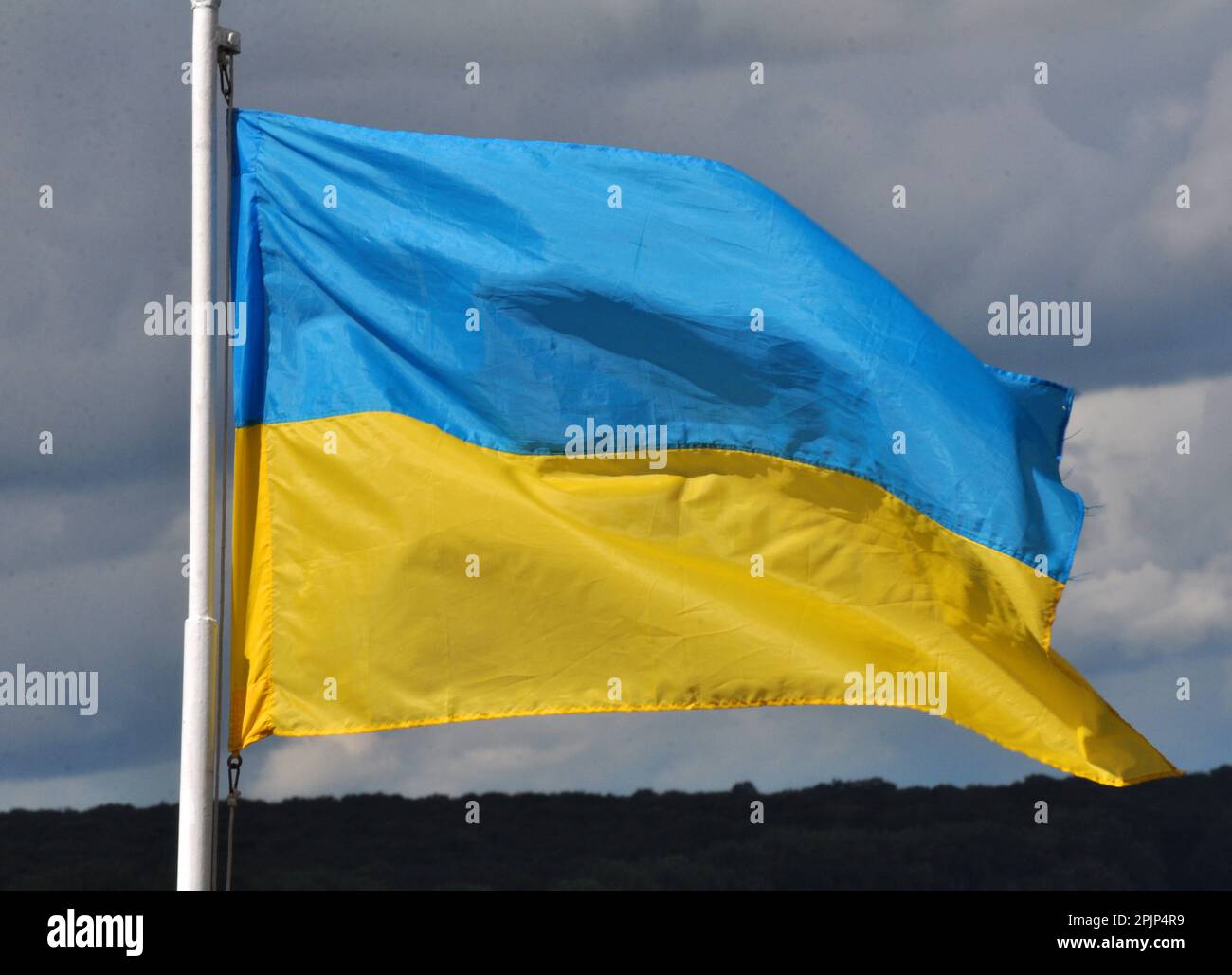 Blue and yellow colors of the national flag of Ukraine Stock Photo - Alamy