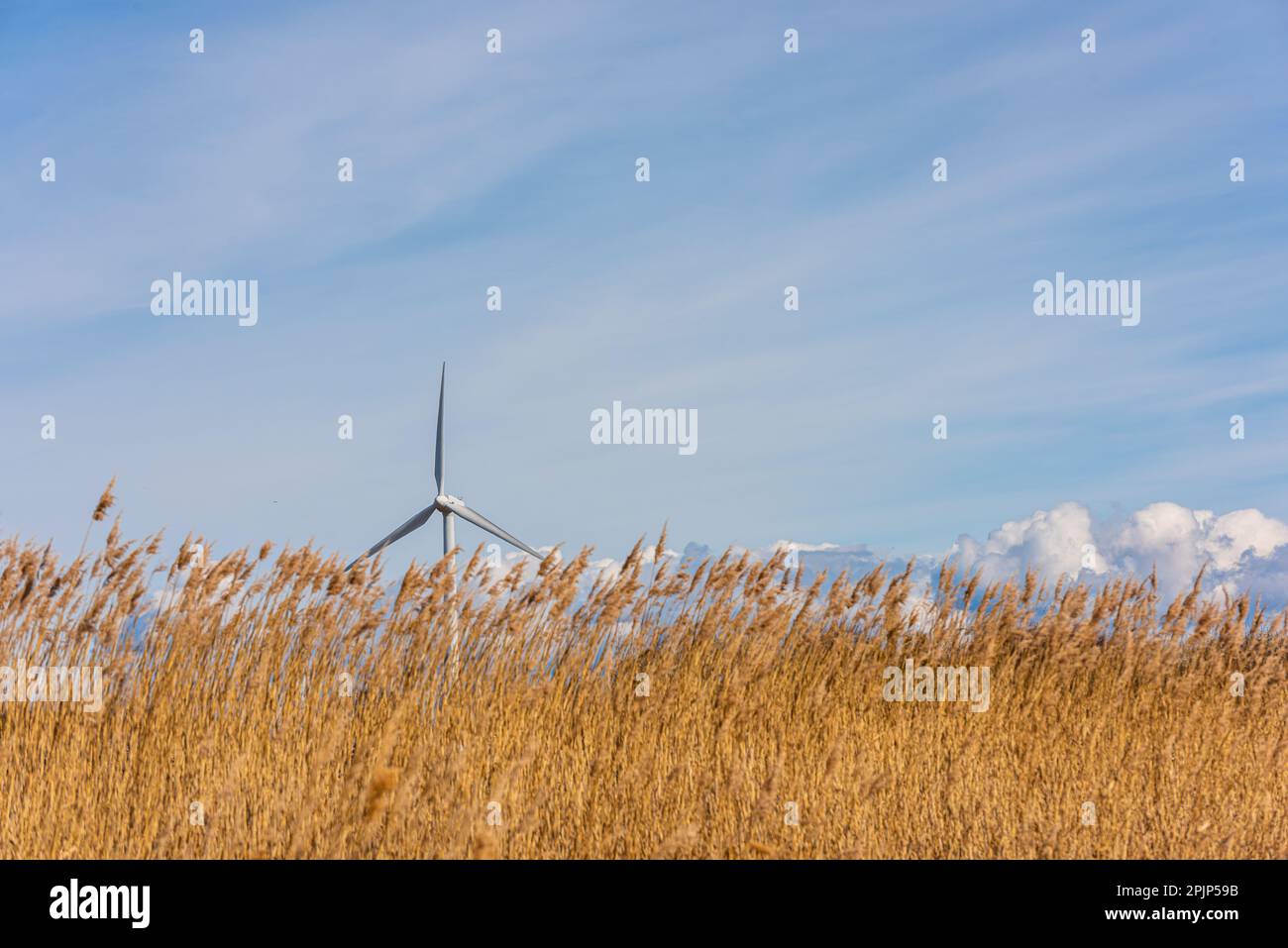 Wind turbine by a grass field Stock Photo - Alamy