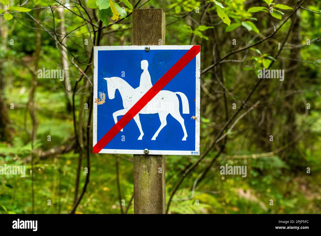 Riding prohibited sign in a forest Stock Photo - Alamy