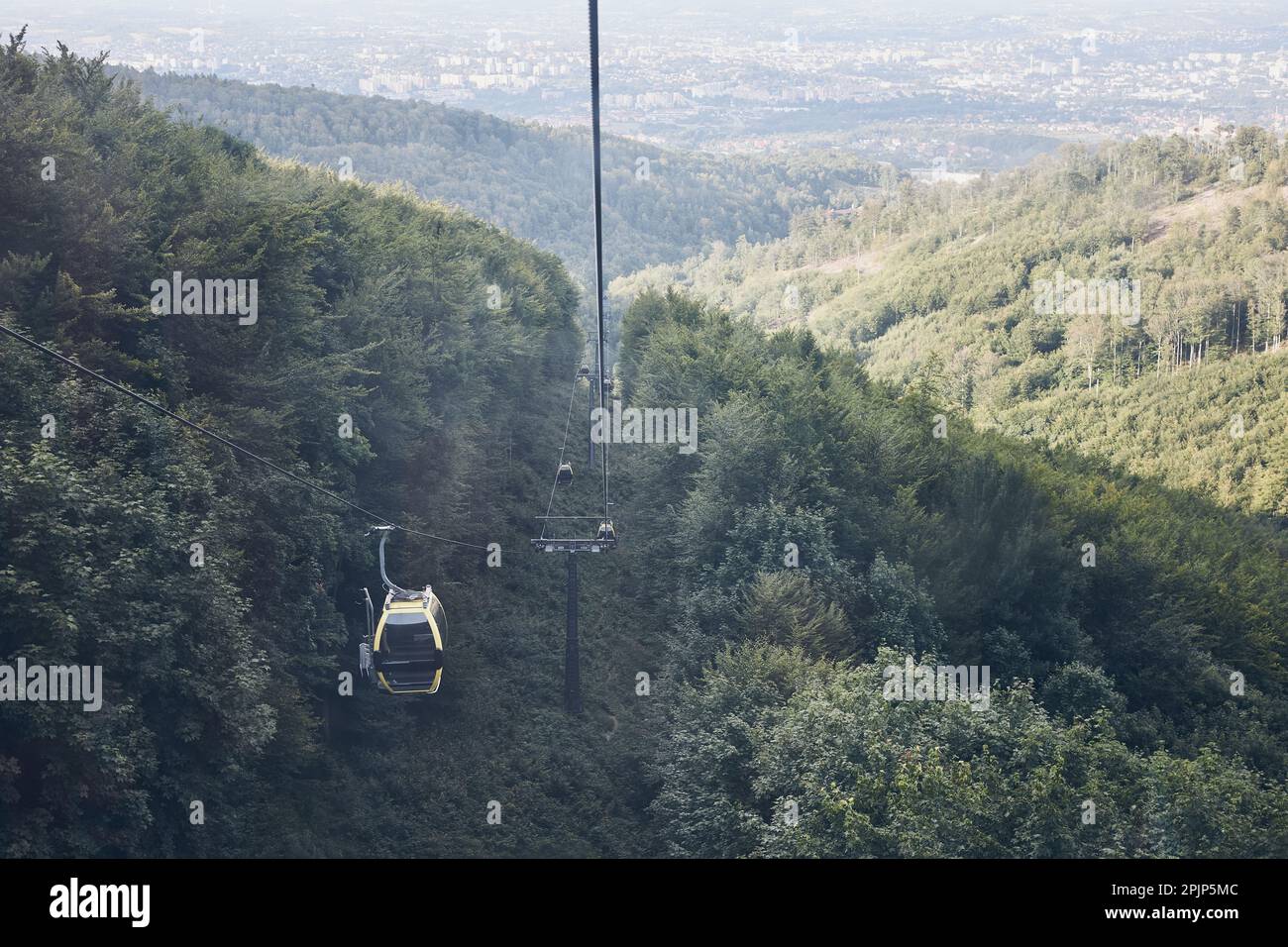 Cable car go to top of mountain among trees in forest on summer sunny ...