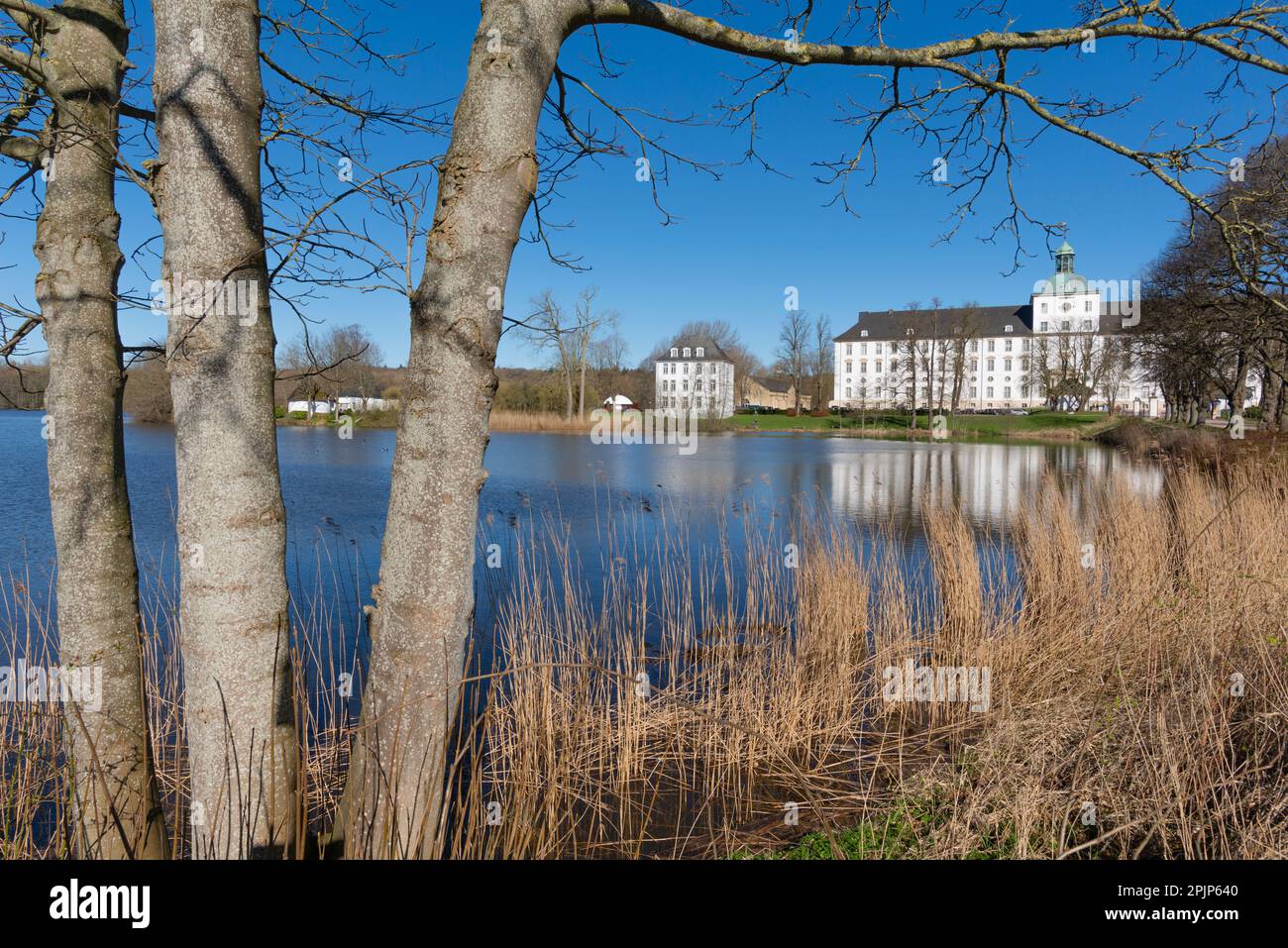 Castle Gottorf, former seat of the Duke, today a museum, Schleswig city ...