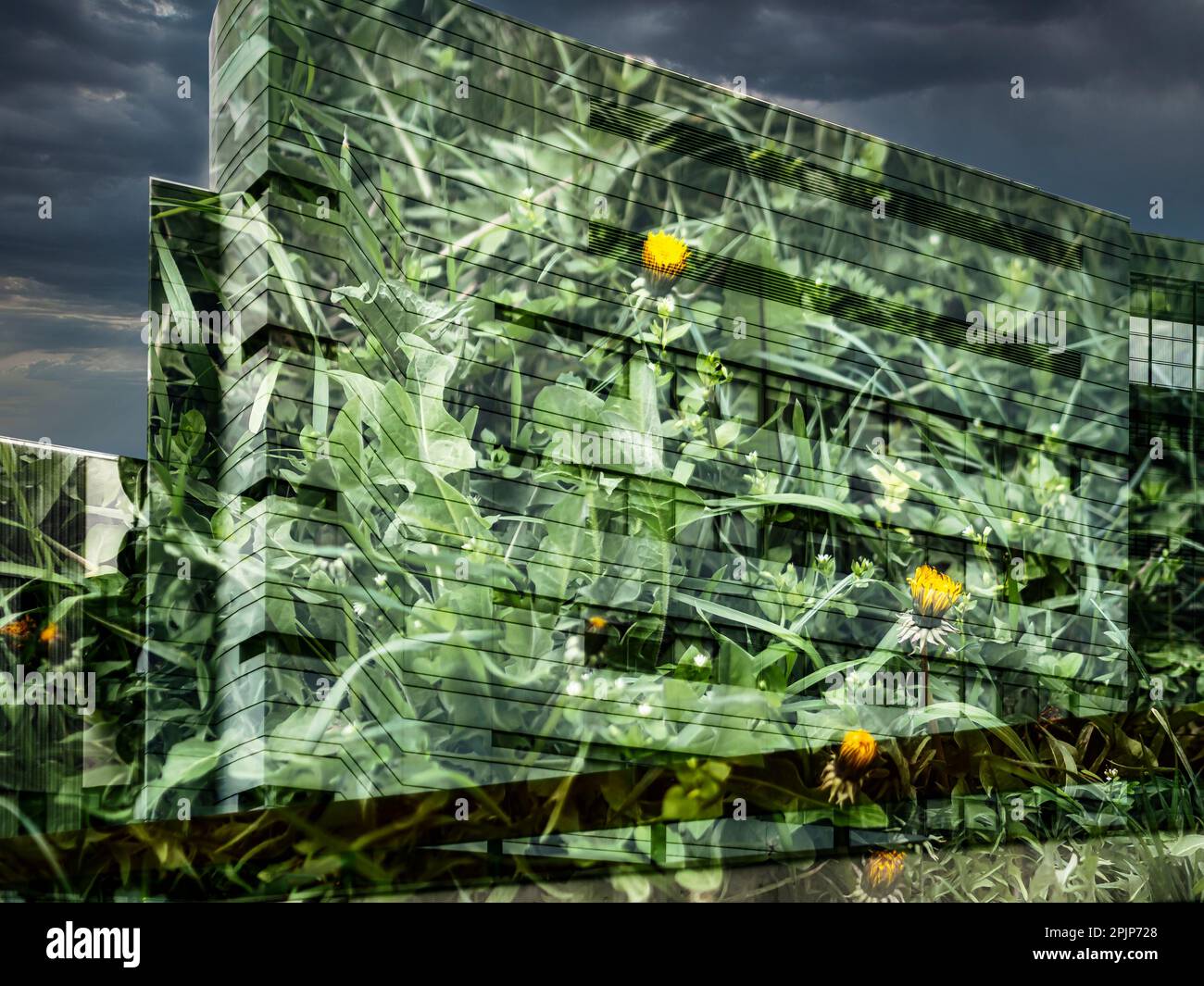 Multiple exposure. Unusual view of the city. Green building. The new ...