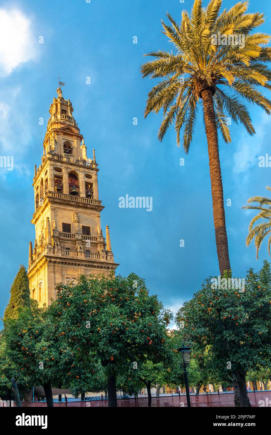 Roman historic site andalusia hi-res stock photography and images - Alamy