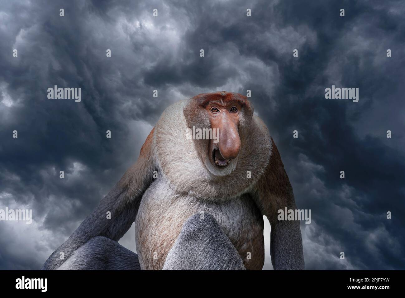 Pandemic in 2022 monkeypox. Dangerous infection is spreading around the ...