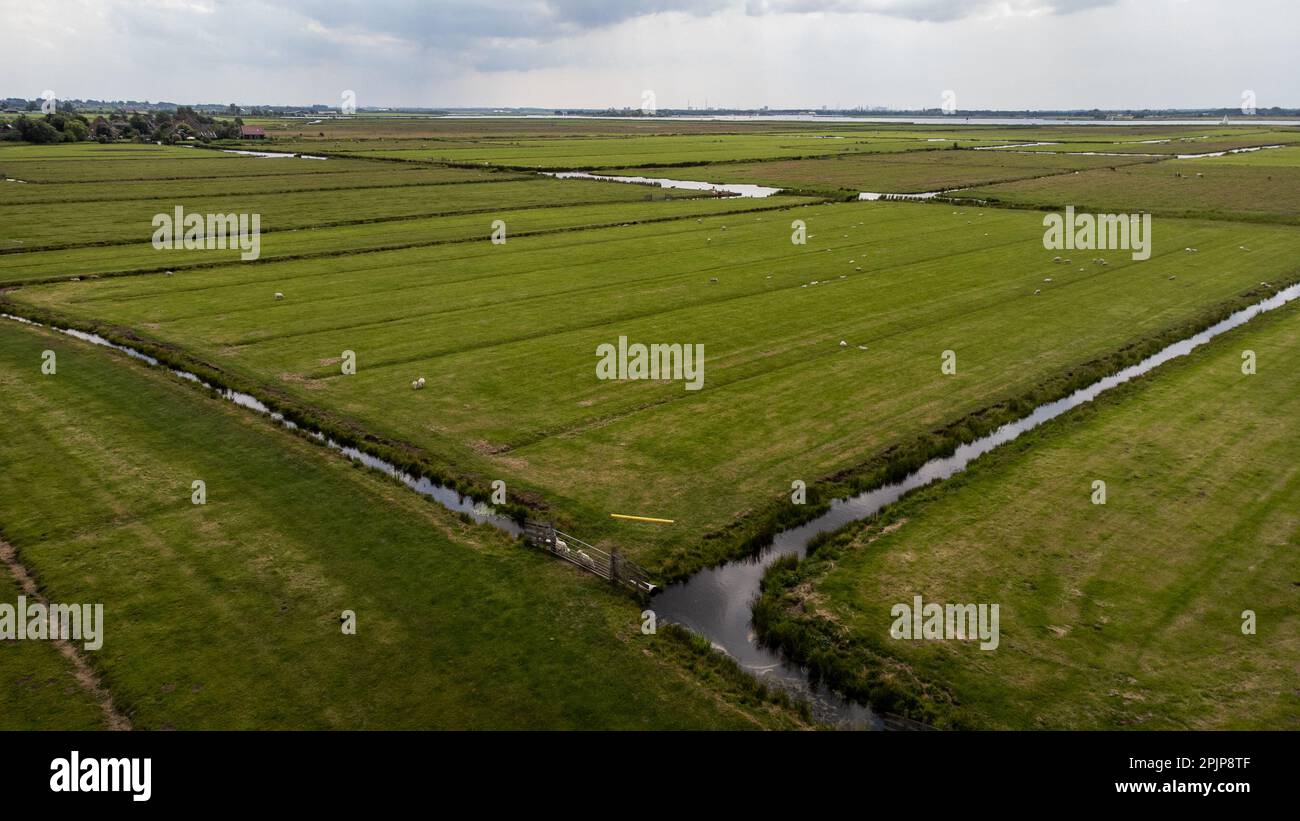 Netherlands, Holland, Spring 2022. Aerial view of typical Dutch ...