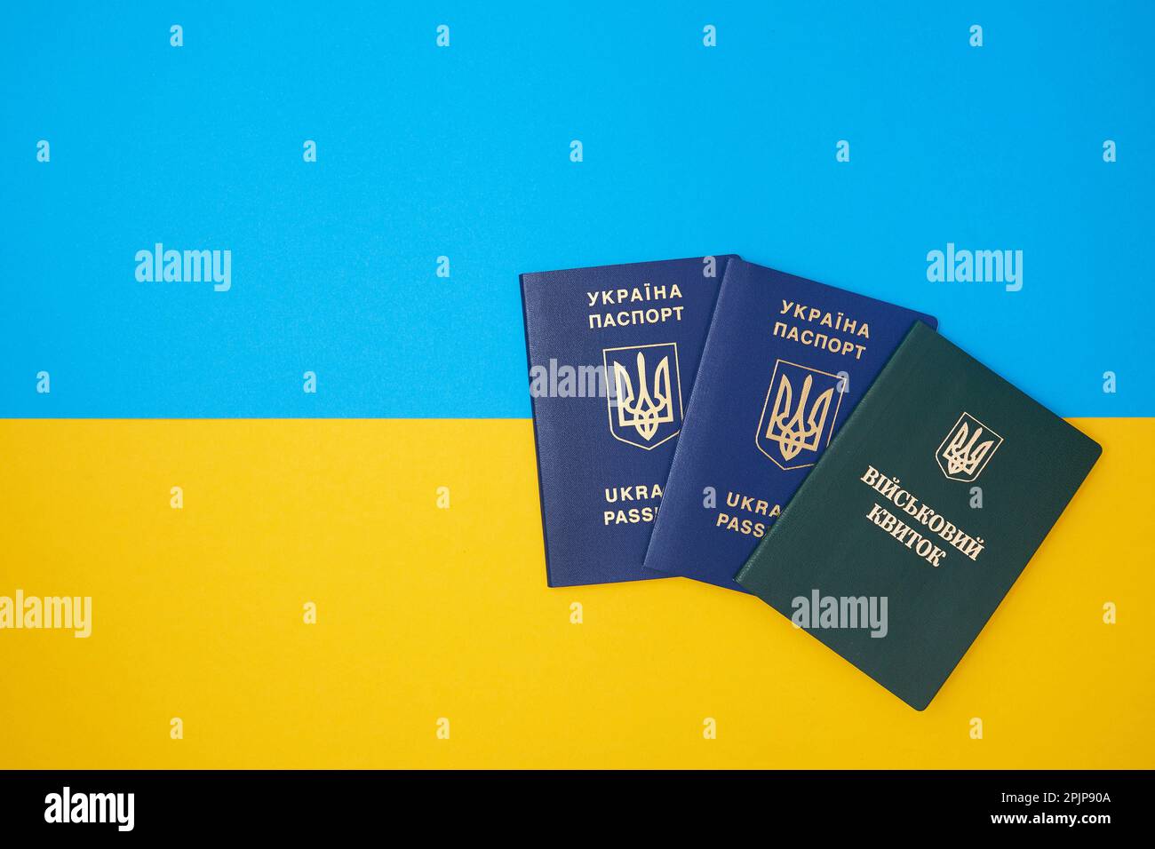 Ukrainian national armed forces hi-res stock photography and images - Alamy