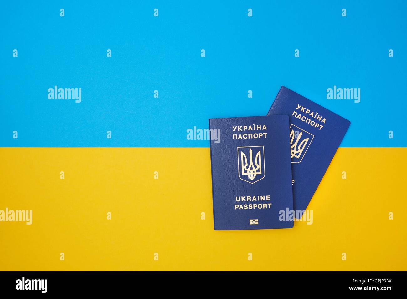 Two blue Ukrainian biometric passports on the Ukrainian national flag ...