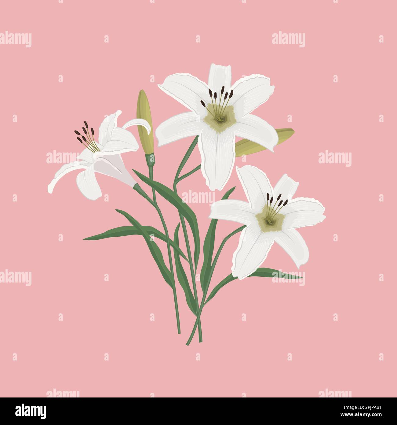 Beautiful flowers cut out Stock Vector Images - Alamy
