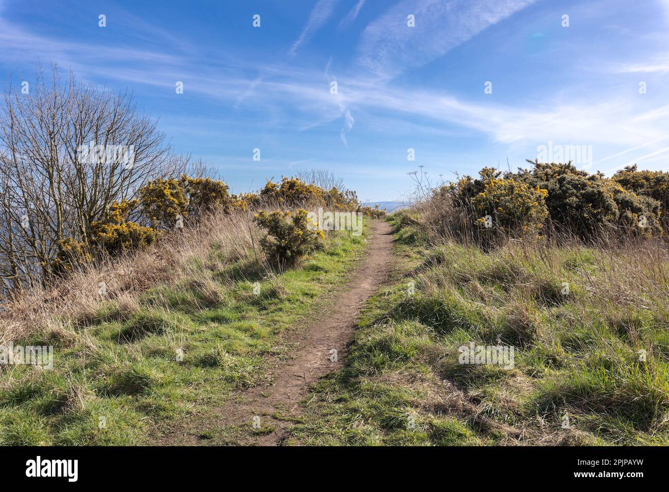 East wemyss scotland hi-res stock photography and images - Alamy