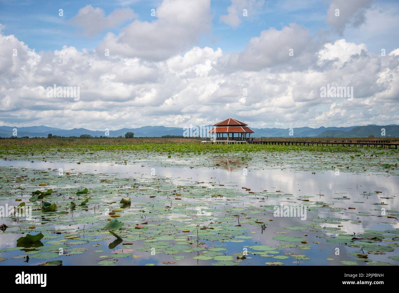 the Landscape of the Lotus Swamp Sam Roi Yot near the Village of Kui ...