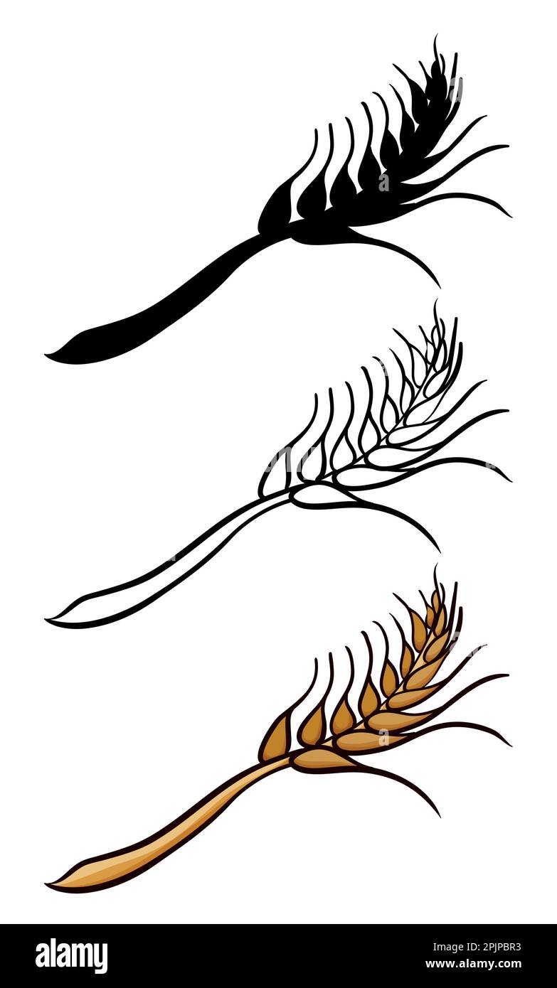 Set of ears of wheat in three different versions: black silhouette ...