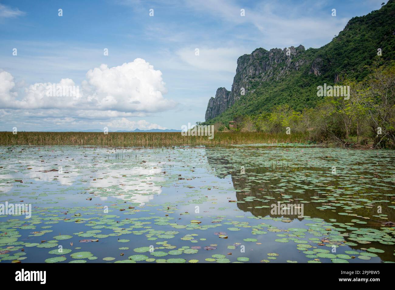 Thung sam roi yot hi-res stock photography and images - Alamy