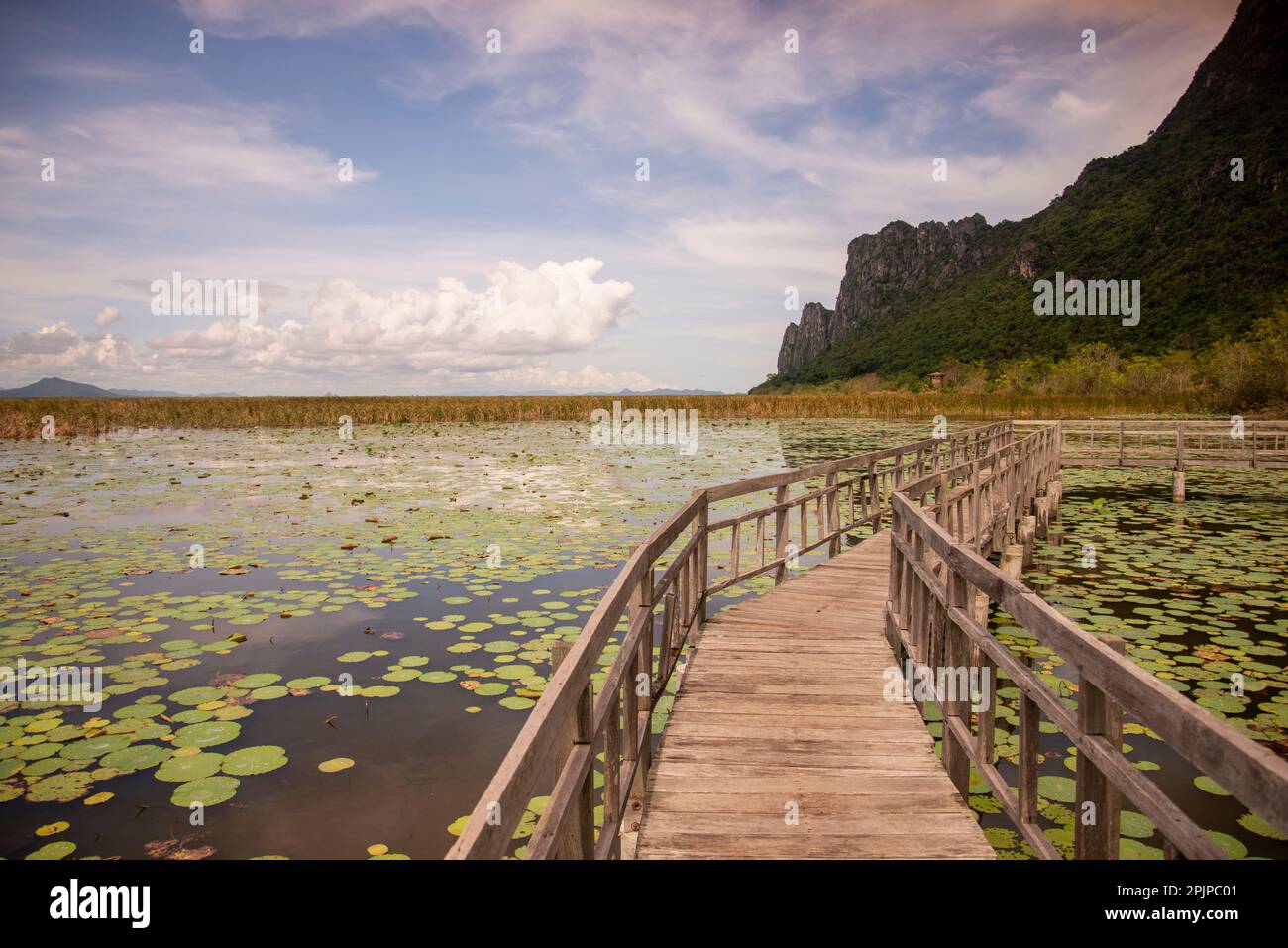 Thung sam roi yot hi-res stock photography and images - Alamy