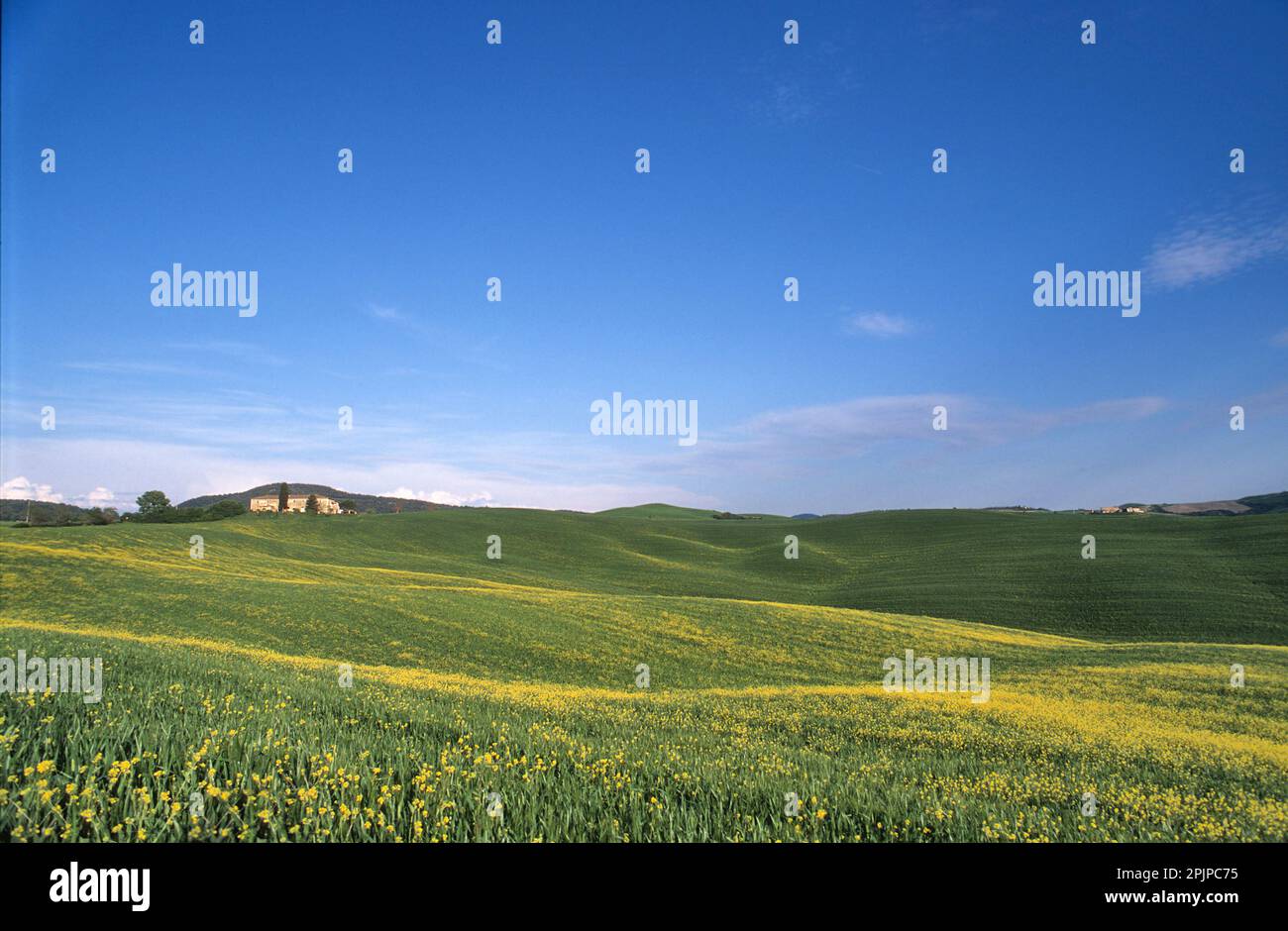 Tuscana hi-res stock photography and images - Alamy