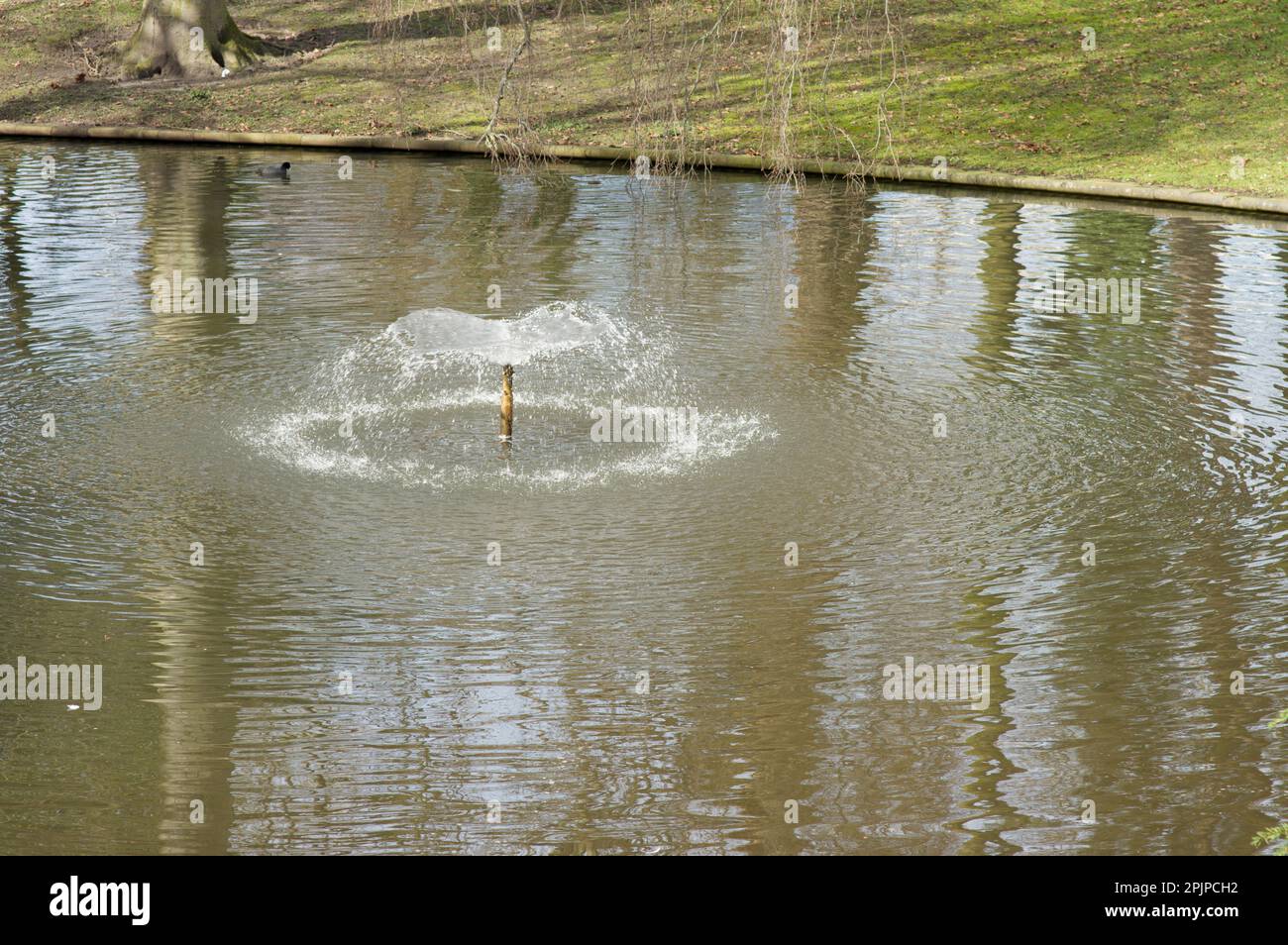 Small fountain in a pond with flowing water Stock Photo - Alamy